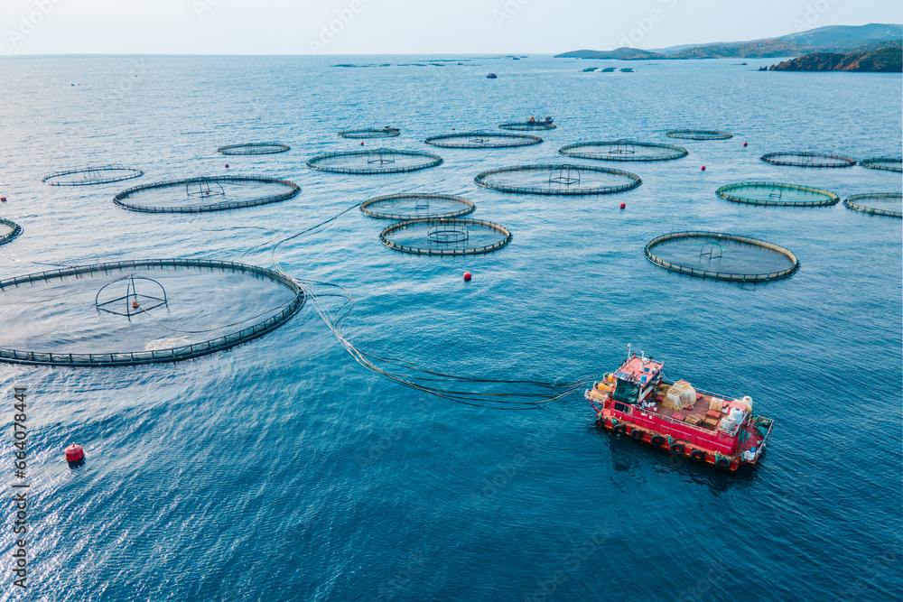 Aerial wide shot of floating fish farming cages. Industrial fish ...