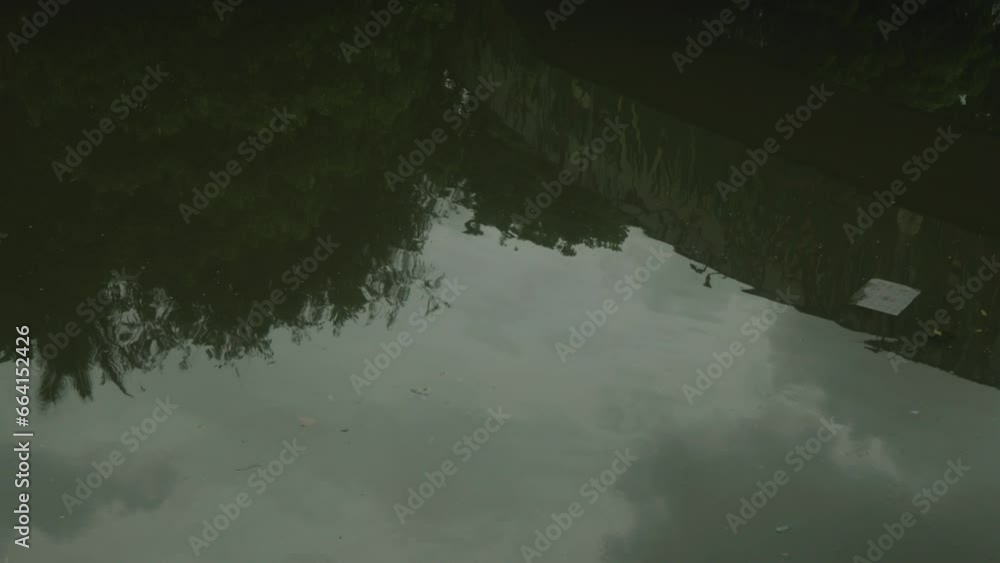 A scene captures a serene lake with its still water tarnished by the ...