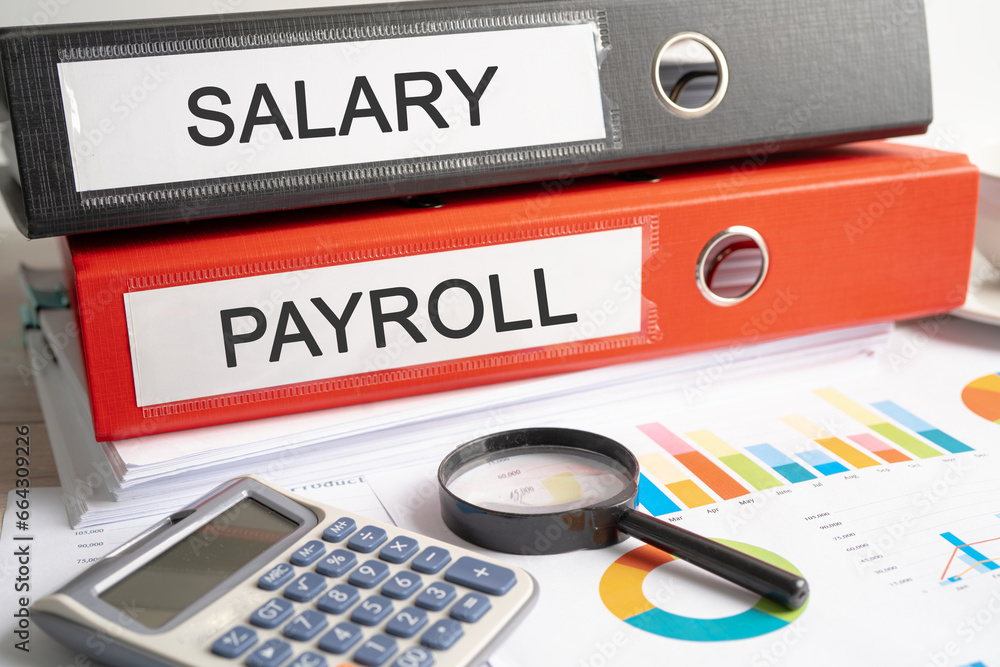 Salary Payroll. Binder data finance report business with graph analysis ...