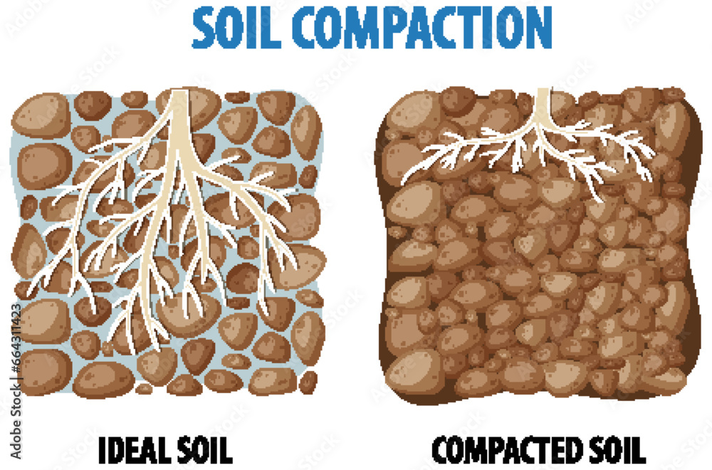 Comparison of Soil Compaction Density in Science Education Stock Vector | Adobe Stock