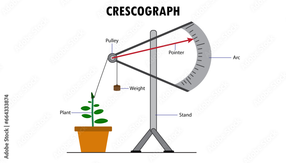 Crescograph diagram, how it works vector de Stock | Adobe Stock