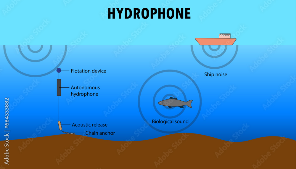 Diagram of how the hydrophone works Stock Vector | Adobe Stock