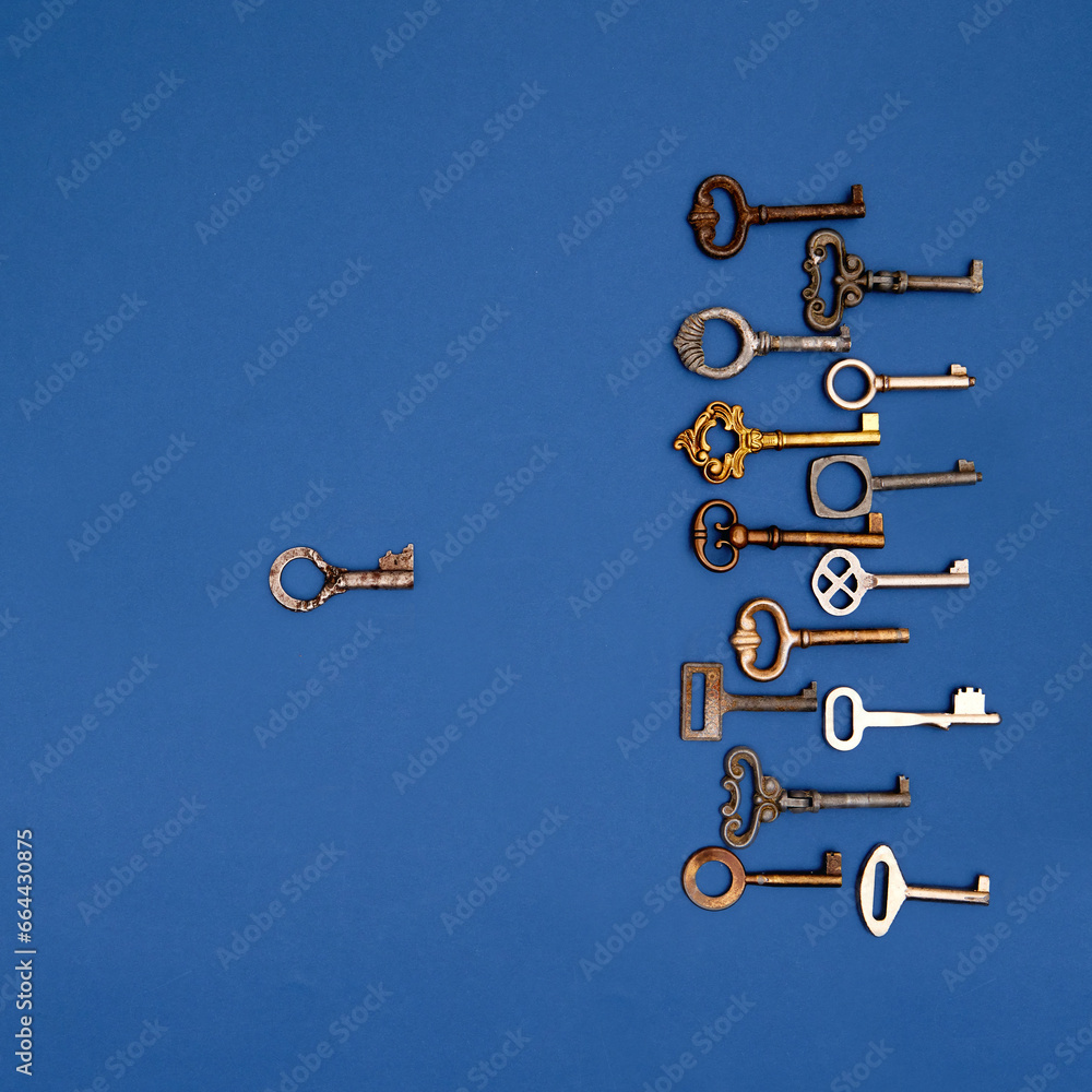 One little key. Plenty of decorative, vintage, antique keys for clocks ...