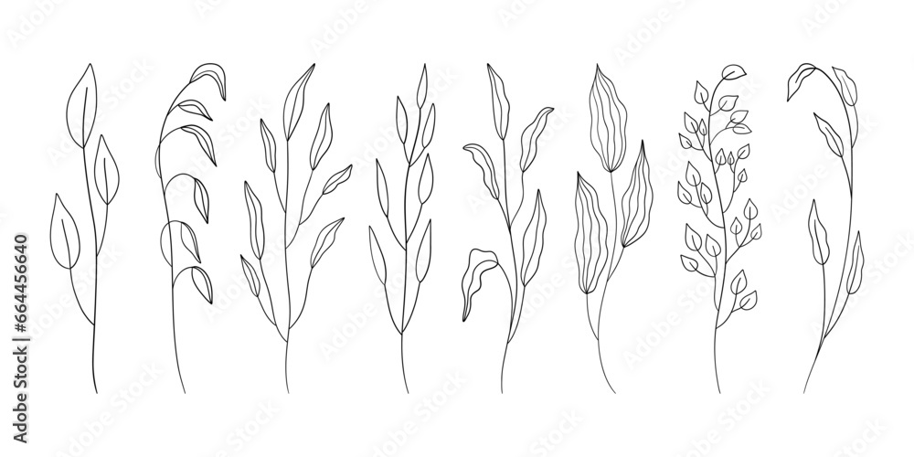 Fine line floral set. Doodle ornamental botanical elements, nature ...