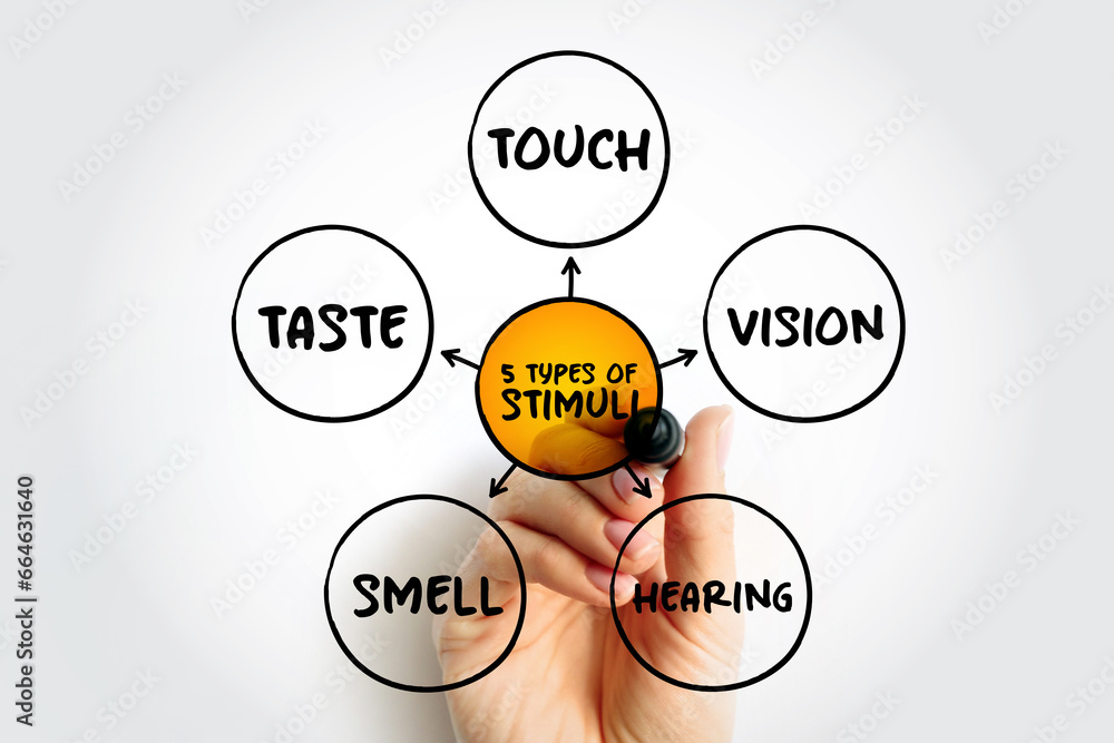 Foto de The 5 types of external stimuli - divided into our senses ...