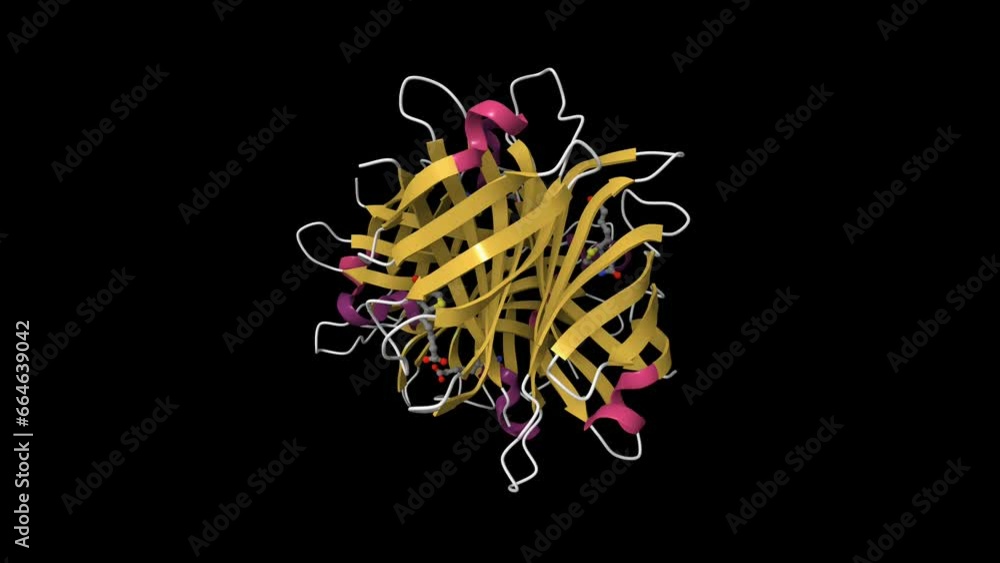 Structure of biotin-streptavidin complex. Animated 3D cartoon and ...