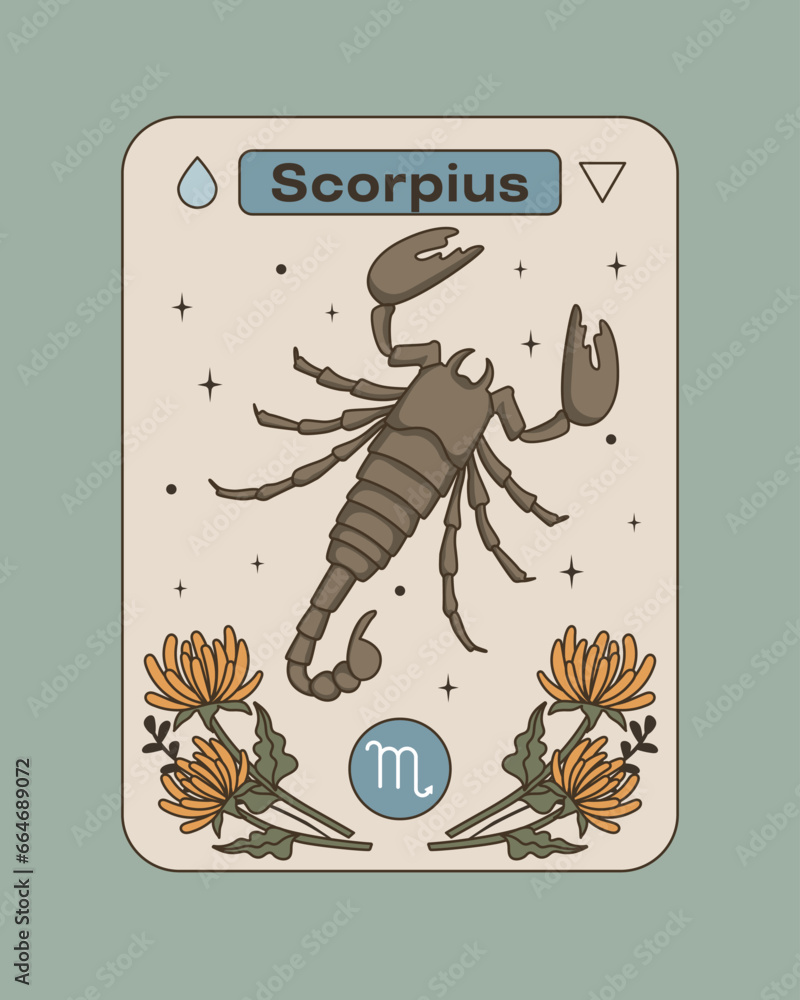 Arachnid arthropod. Scorpio is a zodiac sign. Yellow flowers and ...