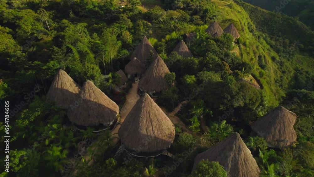 Set of South American indigenous thatched cabin huts surrounded by ...