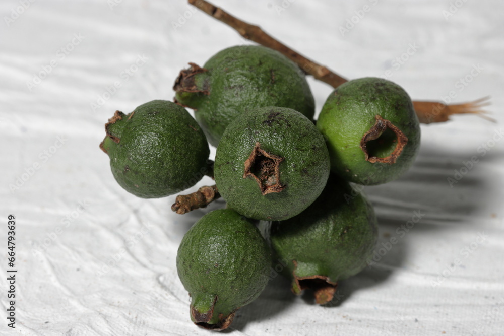 Small guave. Psidium guajava, the common guava, yellow guava, lemon ...