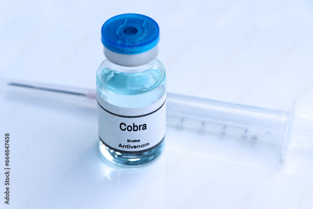 Cobra, Snake antivenoms in a vial, Serum for injection to prevent venom ...