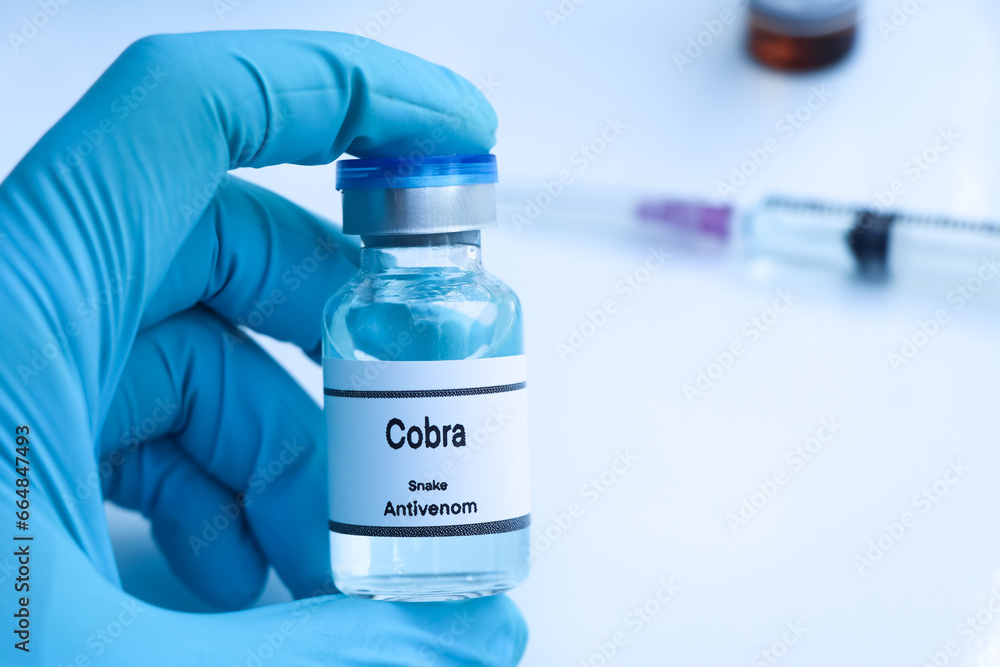 Cobra, Snake antivenoms in a vial, Serum for injection to prevent venom ...
