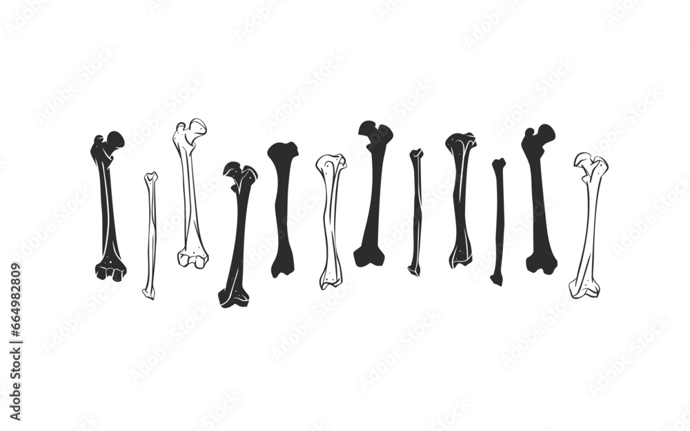 Hand drawn vector abstract graphic line art collection set of Human ...