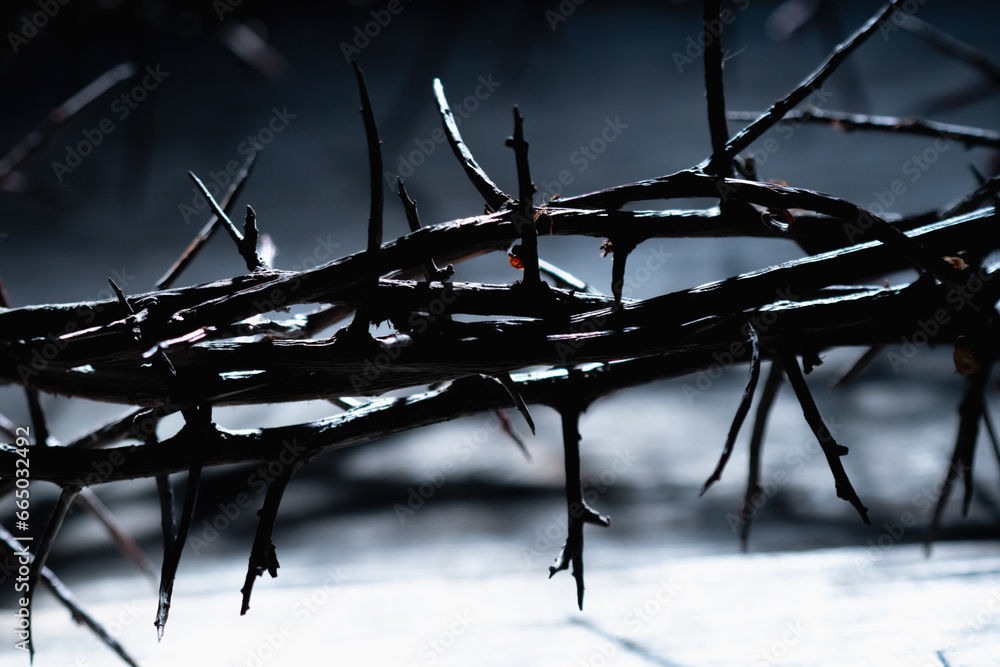 Poster Silhouette of thorn wreath as symbol of death and resurrection ...