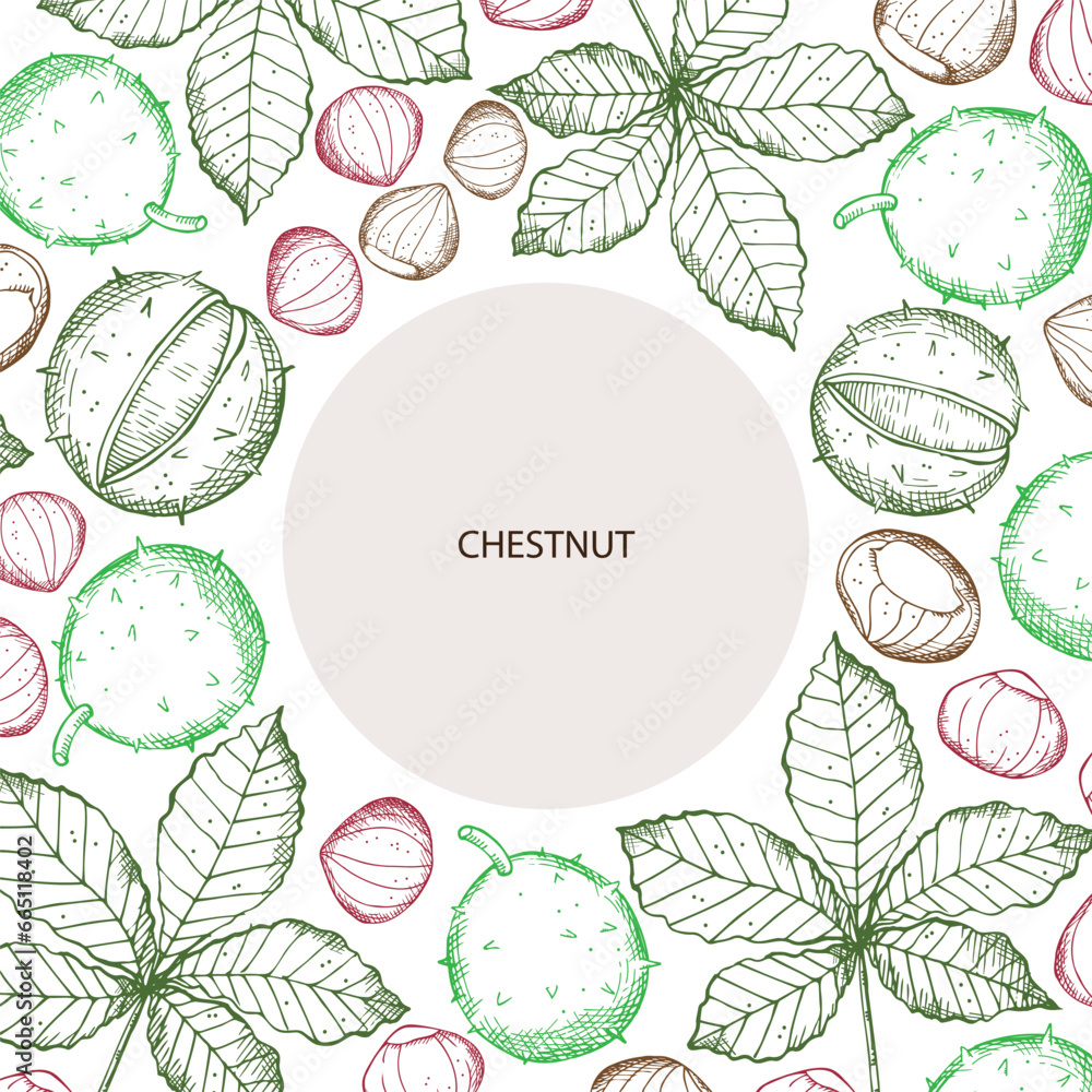 Vector card design with hand drawn illustration of chestnut with leaves ...