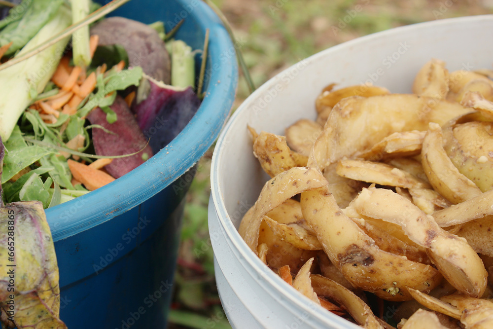 Selective collection of organic waste, food waste, such as vegetable ...