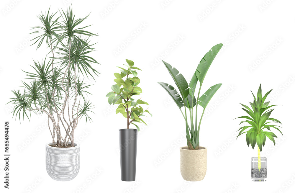 Collection of plants for interior design and photo insertions. Log ...
