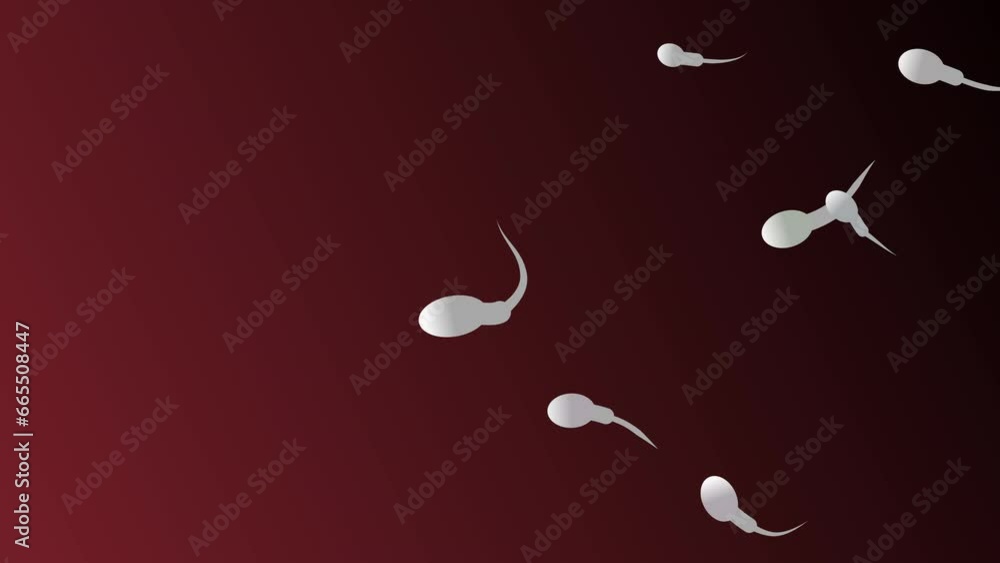 A lot of sperm cell swim into red vagina. Reproductive system close-up ...