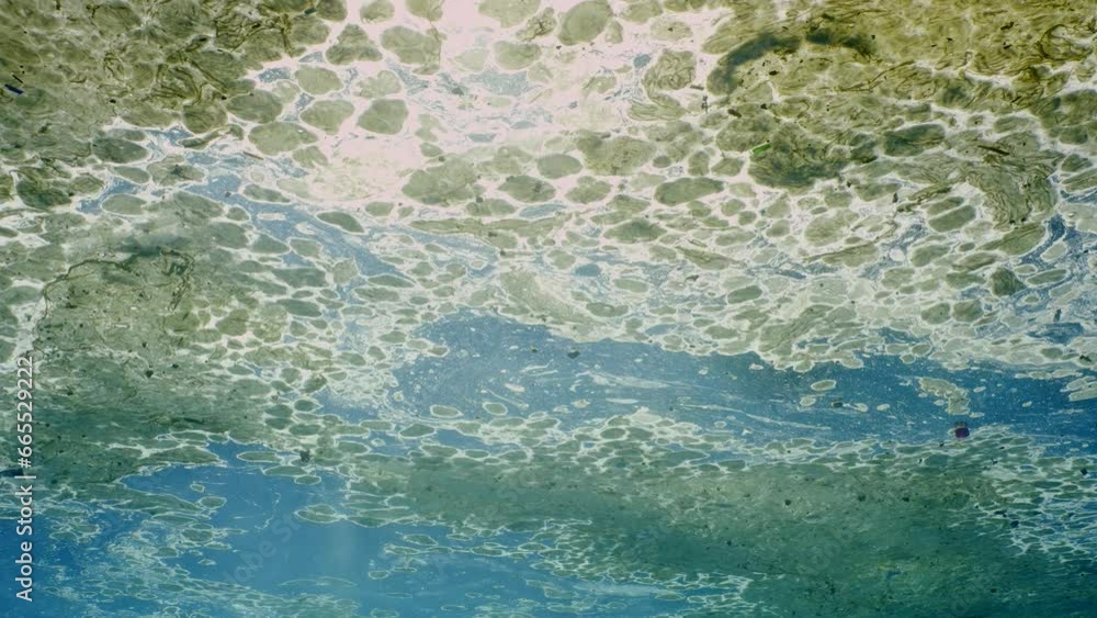 View from underwater to thick layer of fat covering surface of Ocean on ...