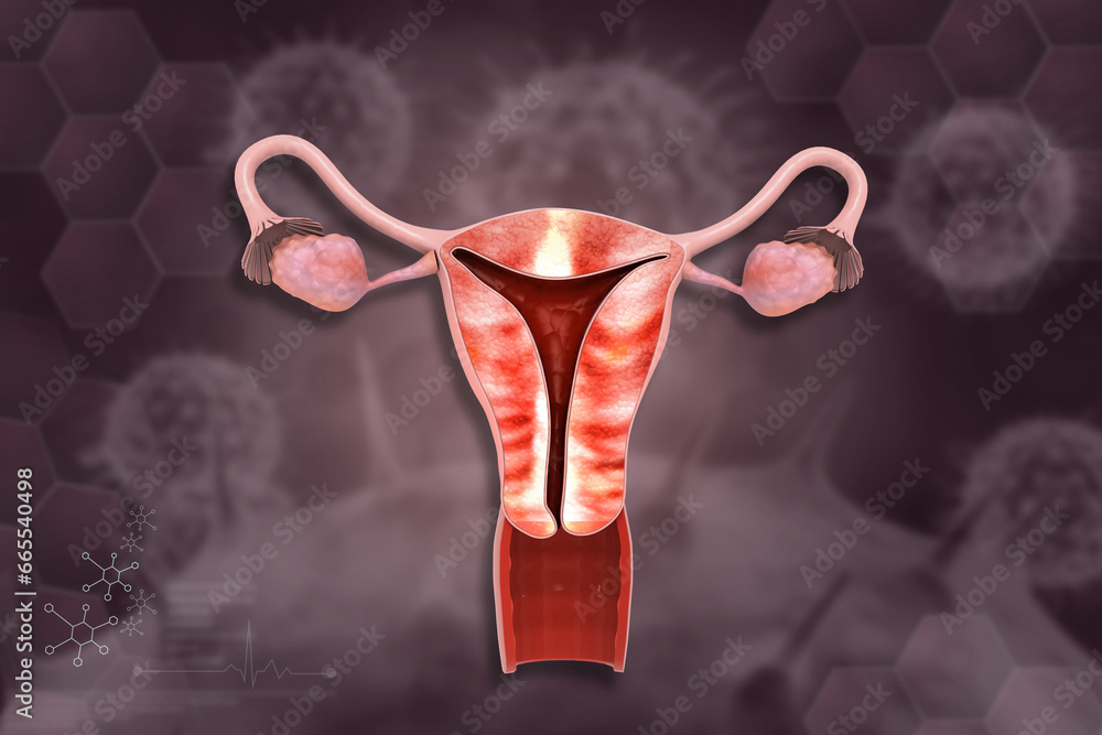 Female uterus system anatomy on scientific background. 3d illustration ...