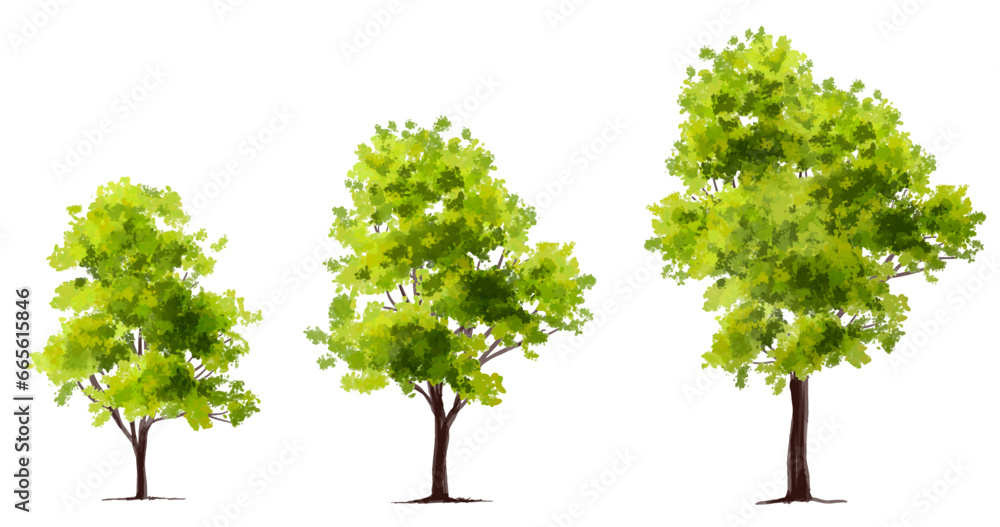 Vector watercolor green tree or forest side view isolated on white ...
