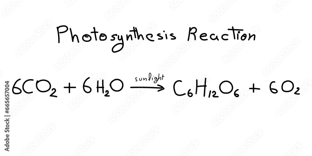 Photosynthesis equation. Carbon dioxide, water, sugars and oxygen ...