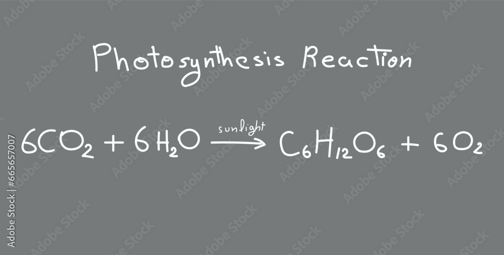 Photosynthesis equation. Carbon dioxide, water, sugars and oxygen ...