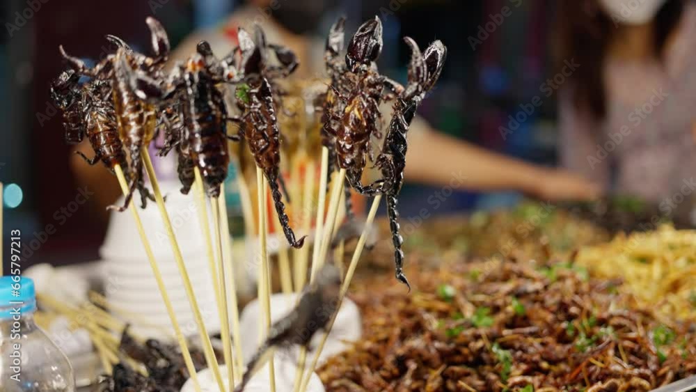 Deep fried insects and scorpions street food vendor in Asian Thailand ...