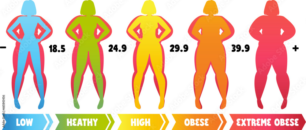 Body types based on BMI index. Stock vector illustration isolated on ...