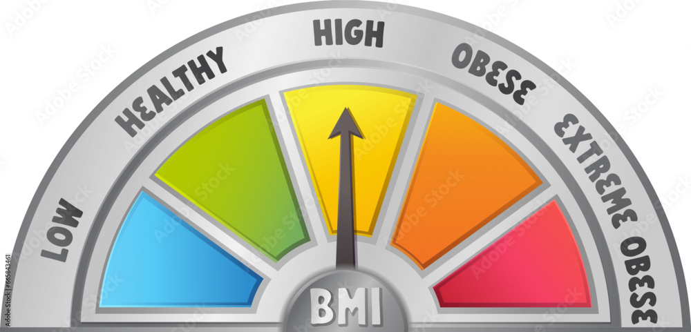 Bmi meter concept. Body mass index sympol. Stock vector illustration in ...