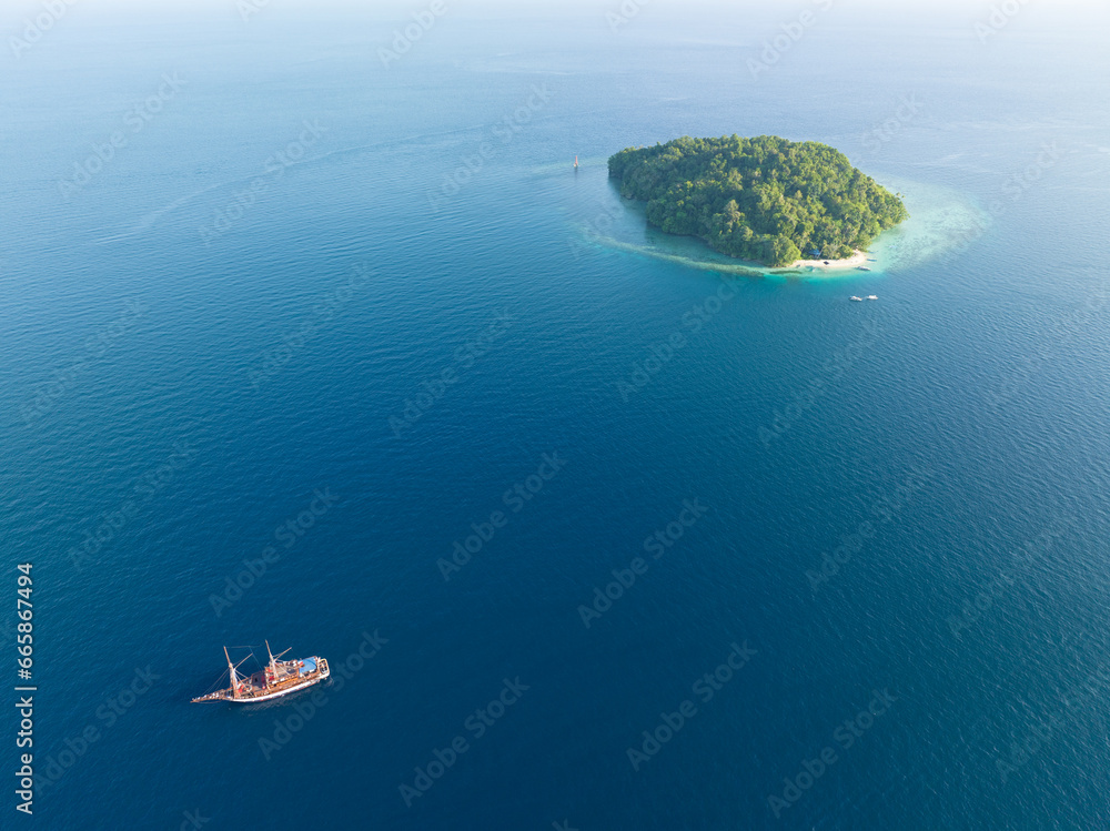 An idyllic, tropical island, surrounded by coral reef, is found in the ...