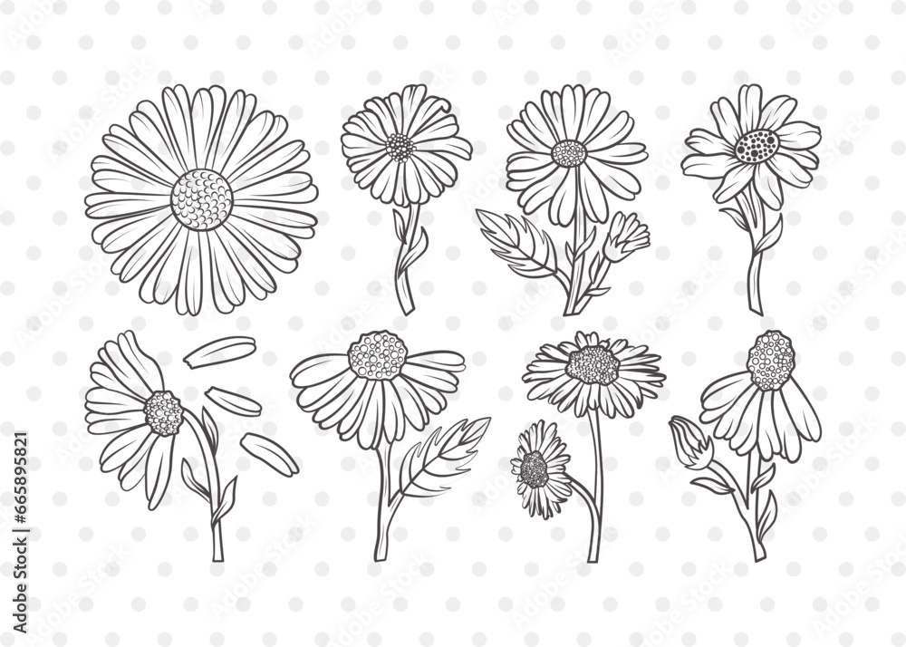 Daisy Flower Clipart SVG Cut Files | Daisy Flower Clipart Bundle ...