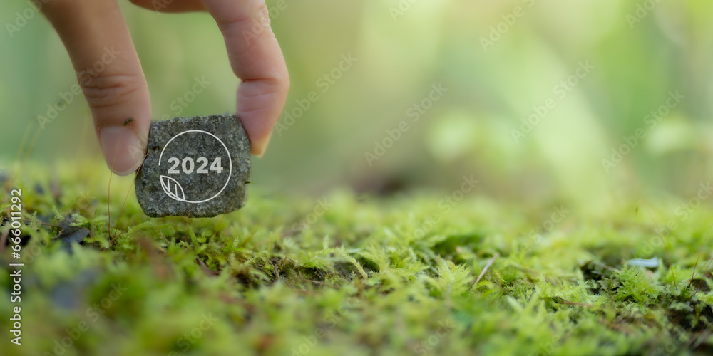 2024 Green business, enviromental sustainability. Carbon offset and ...