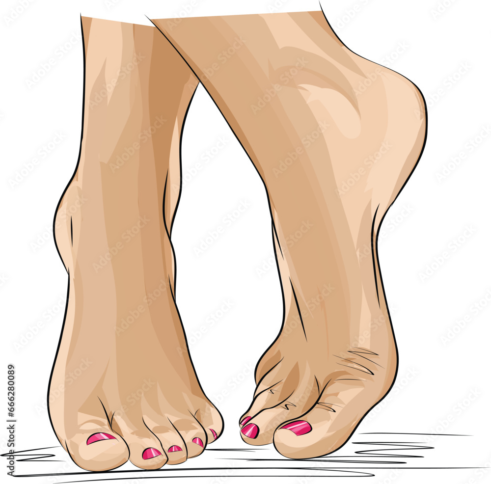 Beautiful female feet. Hand drawn of realistic human feet. Healthy foot ...
