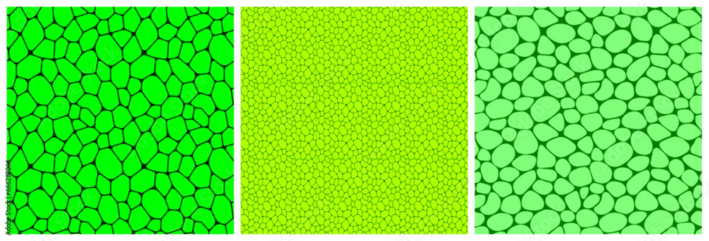 Green cells seamless patterns. chlorophyll structure vector ...