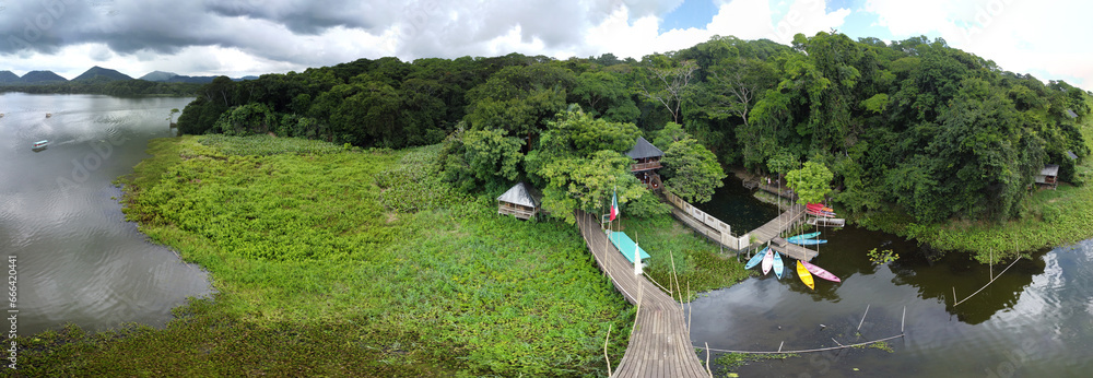 stunning view of a rustic dock pier in the middle of the jungle of ...