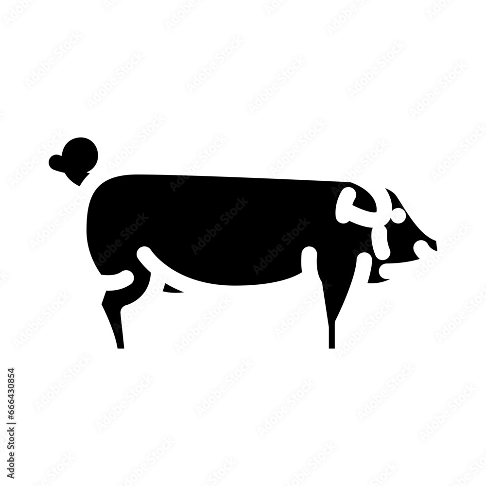 landrace pig breed glyph icon vector. landrace pig breed sign. isolated ...