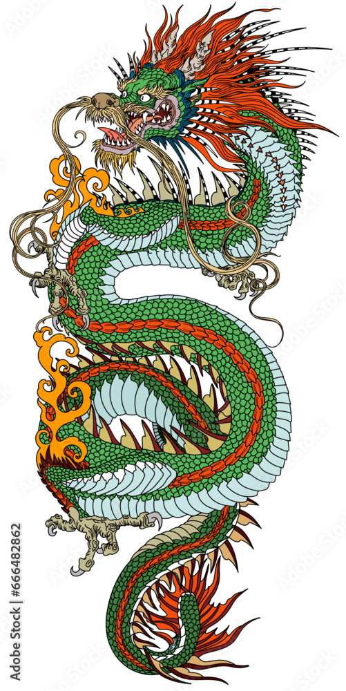 Chinese green dragon in a vertical position. A head facing towards the ...