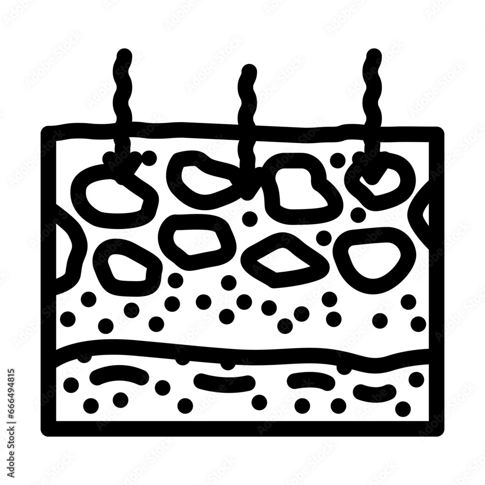 soil permeability hydrogeologist line icon vector. soil permeability ...