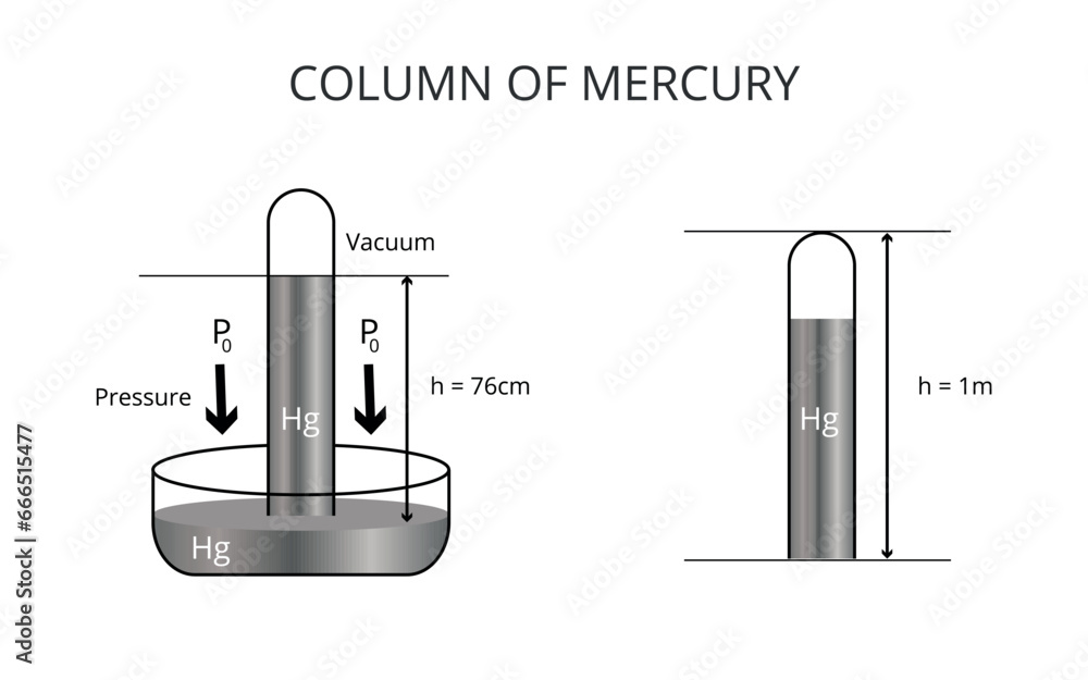 Vector illustration of mercury column, vector diagram of pressure ...