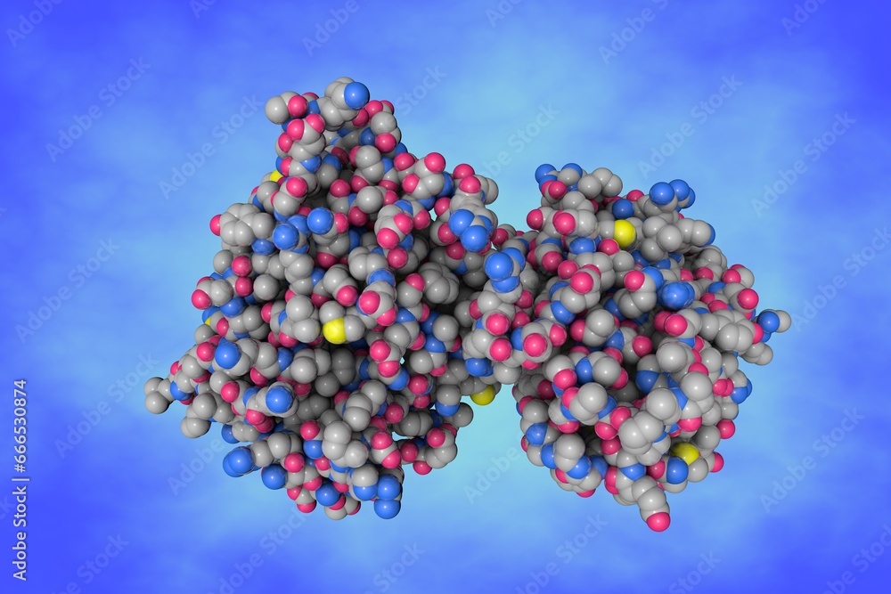 Human progesterone receptor ligand binding domain in complex with the ...