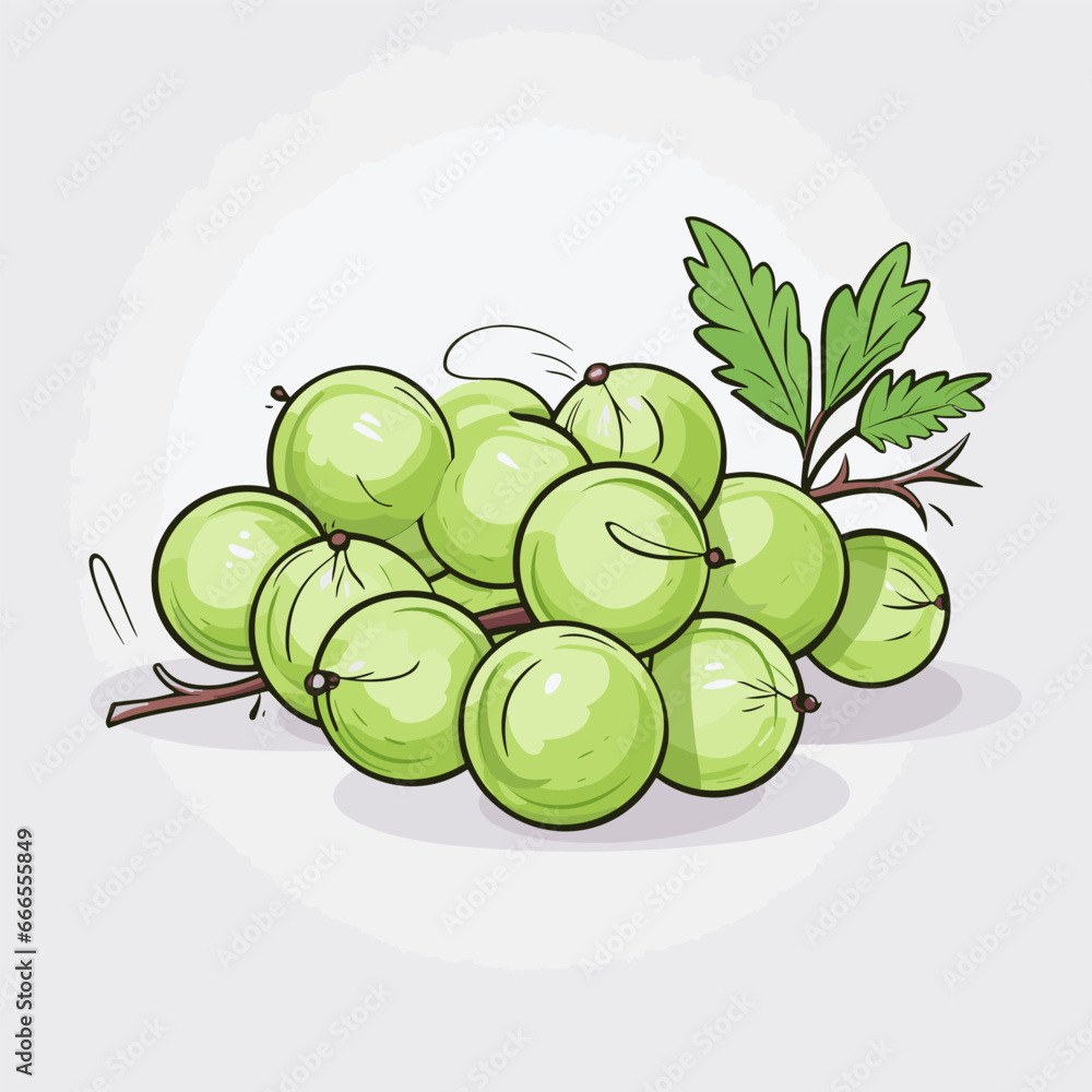 Amla hand-drawn illustration. Amla. Vector doodle style cartoon ...