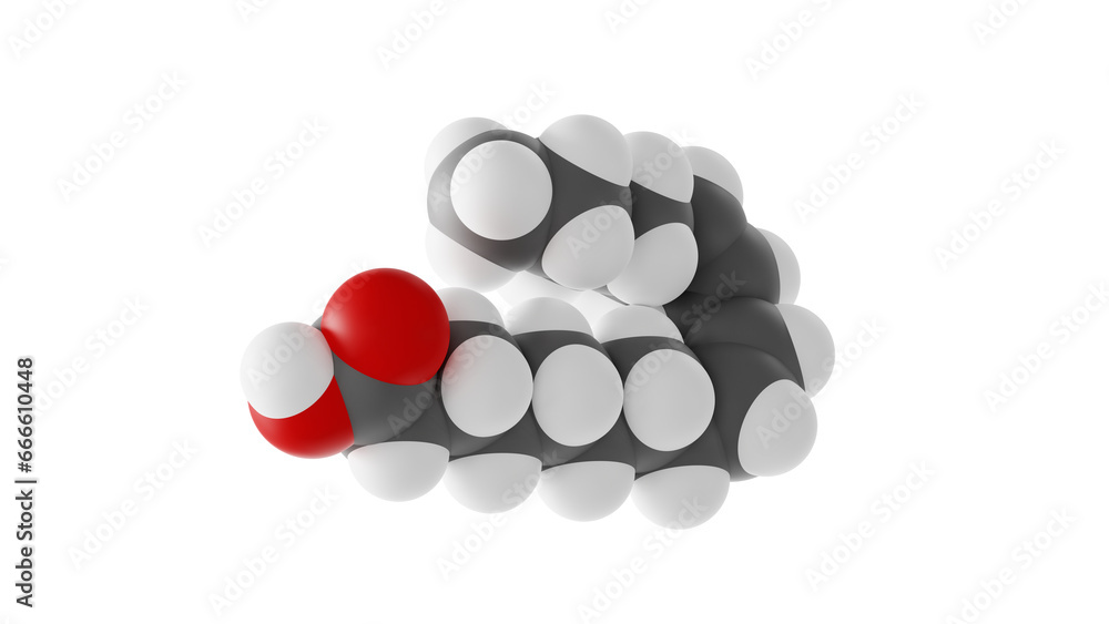 Ilustrace „linoleic acid molecule, omega-6, molecular structure ...