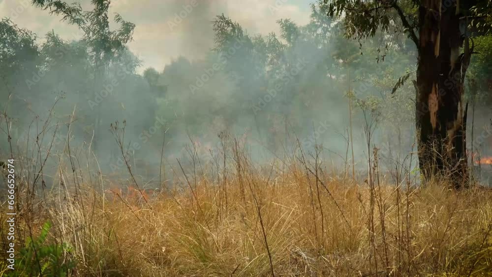 A stunning veld fire in a field in between a suburb and a railway ...