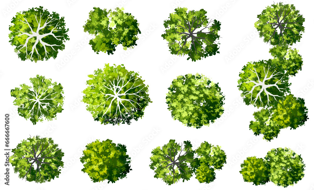 Vertor set of green tree,plants top view for landscape plan,schematic ...