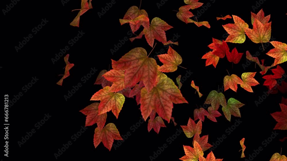 Fall Maple Leaves - Autumn Park Trees - Windy Transition - Realistic 3D ...