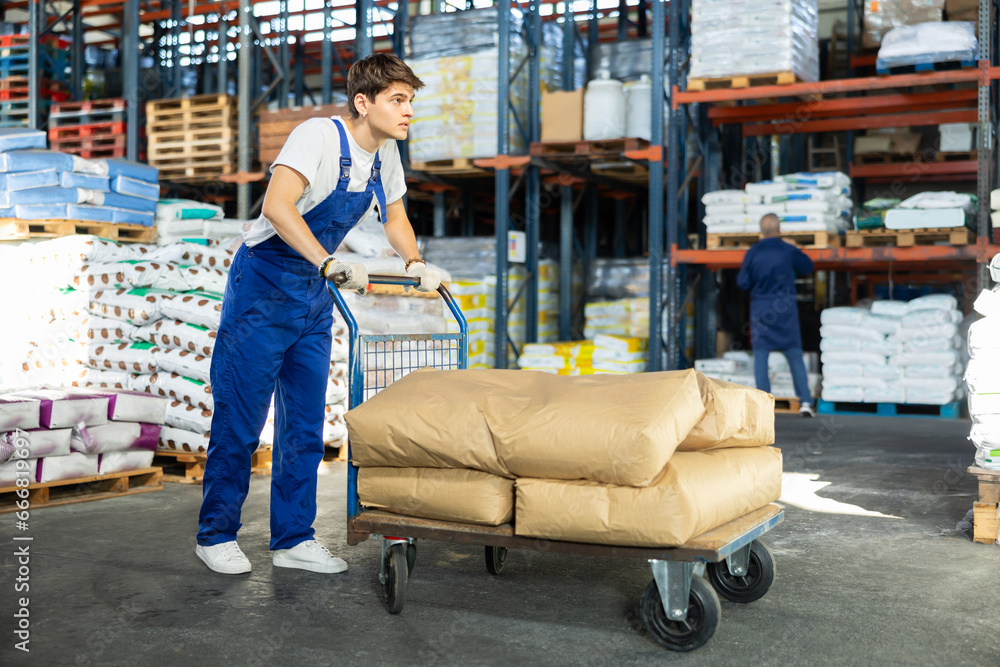 In warehouse rack area of store, stevedore loader young man pushes and ...