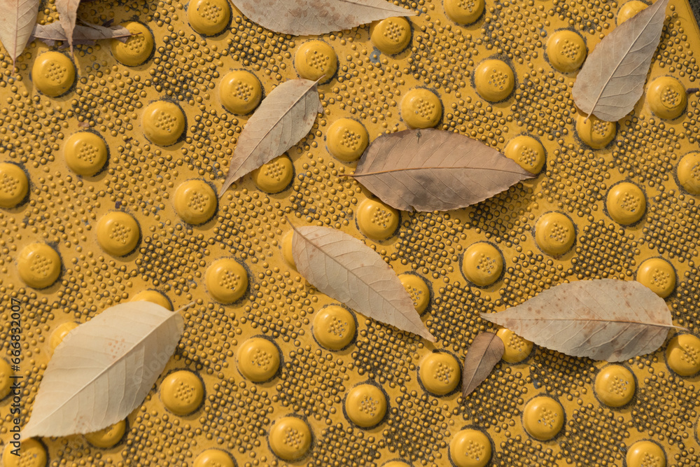 Yellow leaves create extra yellow layer on top of tactile pavement ...