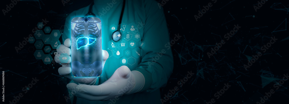 The doctor shows the liver on a cell phone. Isolated. Hepatologist ...