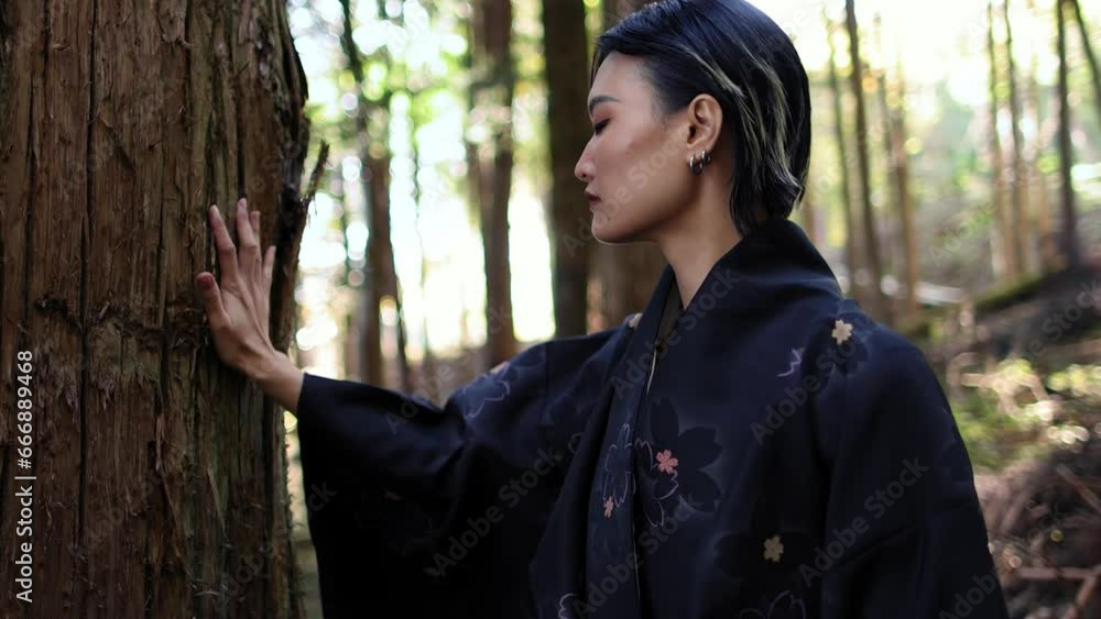 beautiful asian woman in a kimono in a forest in Japan touching a huge ...