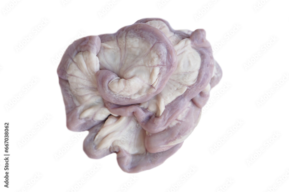 Foto de Fresh raw pork intestines, isolated on white background ...
